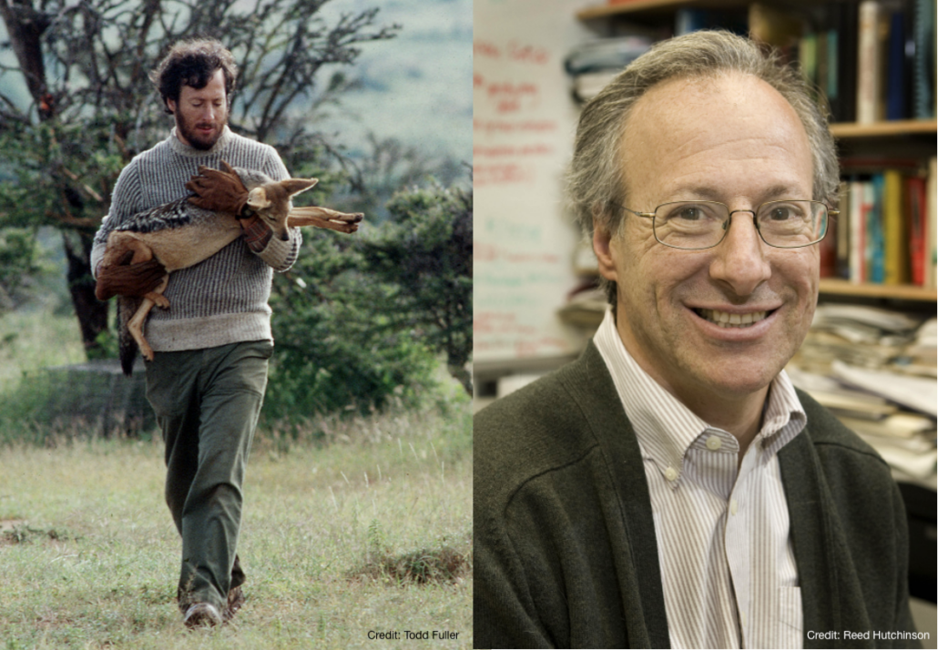 In Memoriam: Distinguished Professor Bob Wayne, pioneer in evolutionary ...