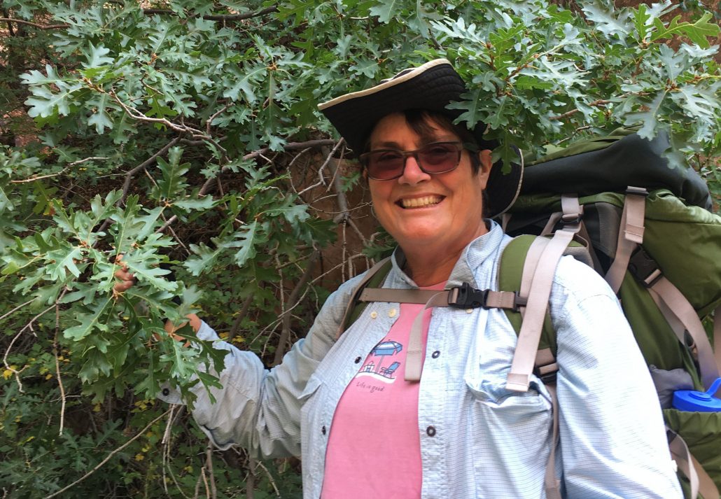 sork - Life Sciences