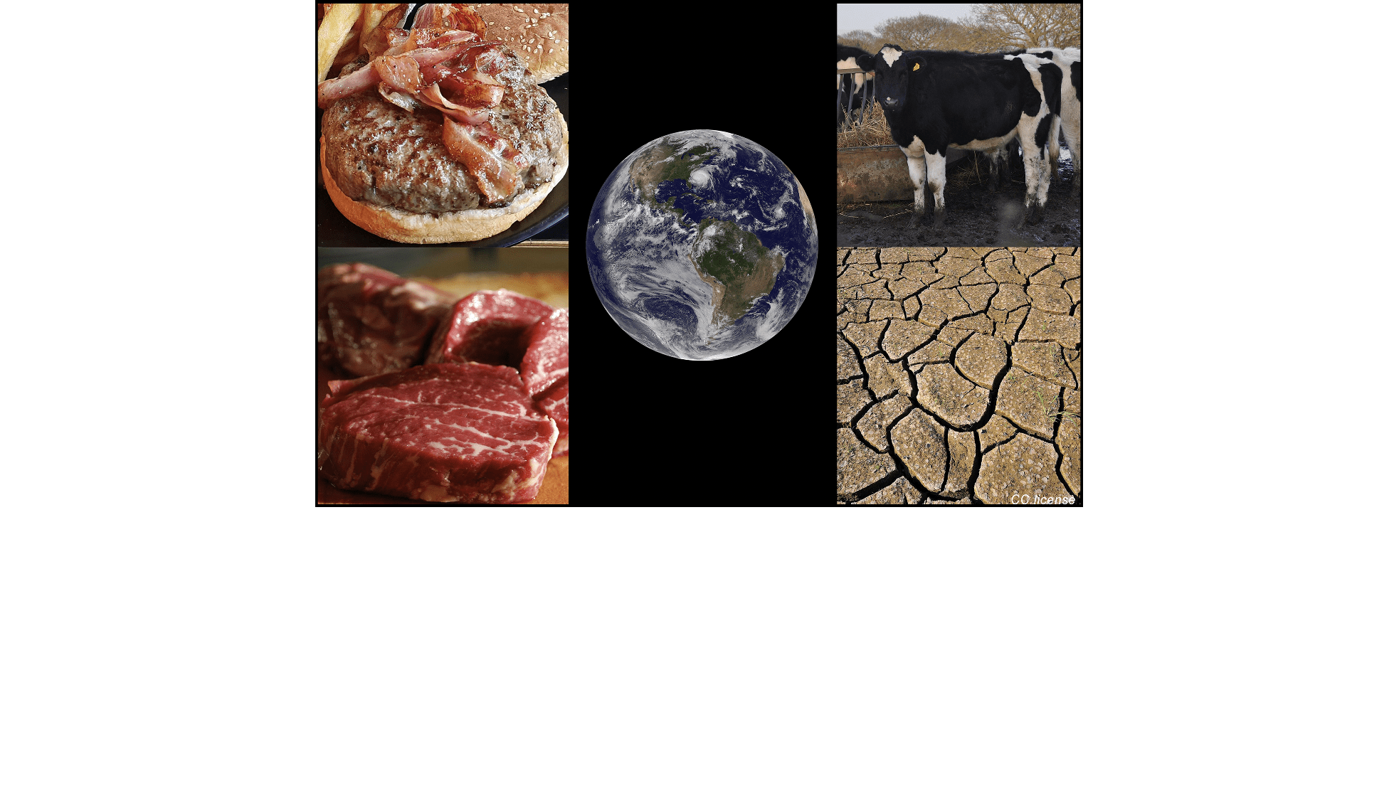 rowat research featured - Life Sciences